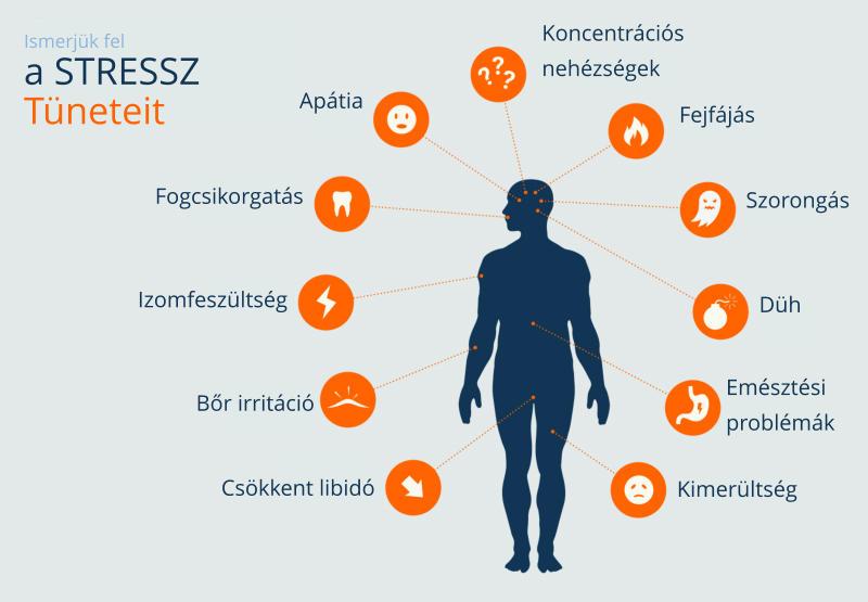 A stressz tünetei és az egészség | Családban utazunk
